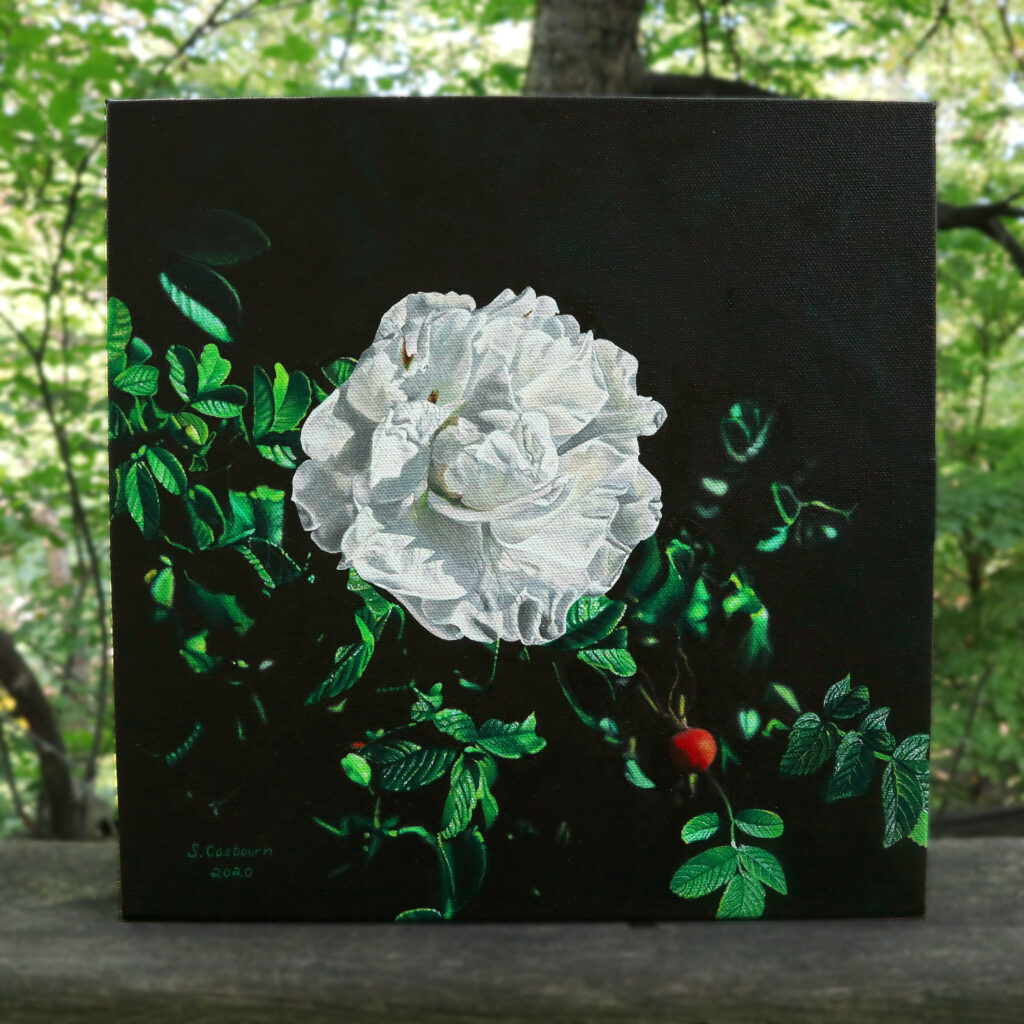 Wild White Roses n°3 – note card - Sylvia Casbourn