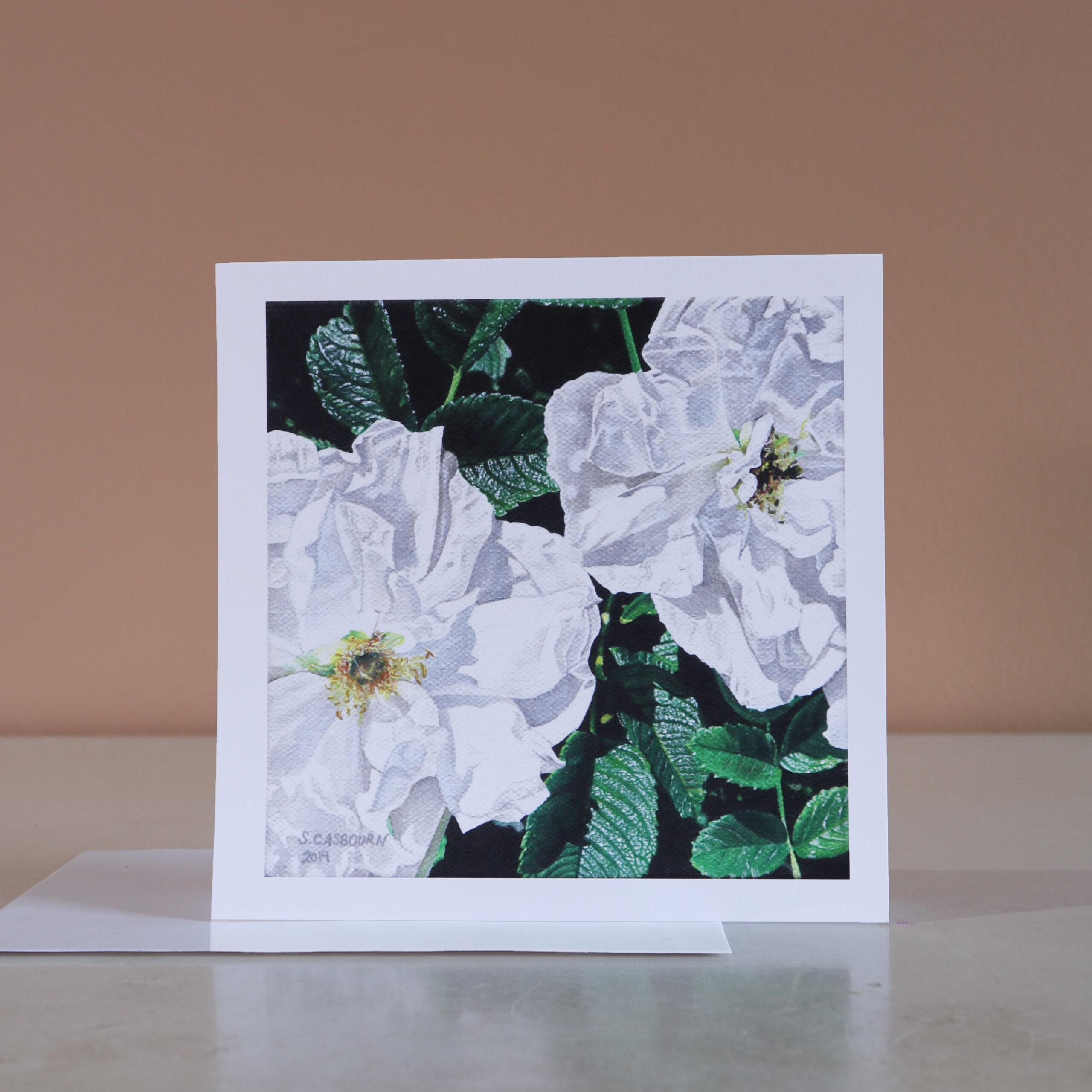 Wild White Roses n°2 – note card - Sylvia Casbourn